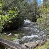 Taggerty River Lookout Loop, Victoria, Australia - 67 Reviews, Map ...