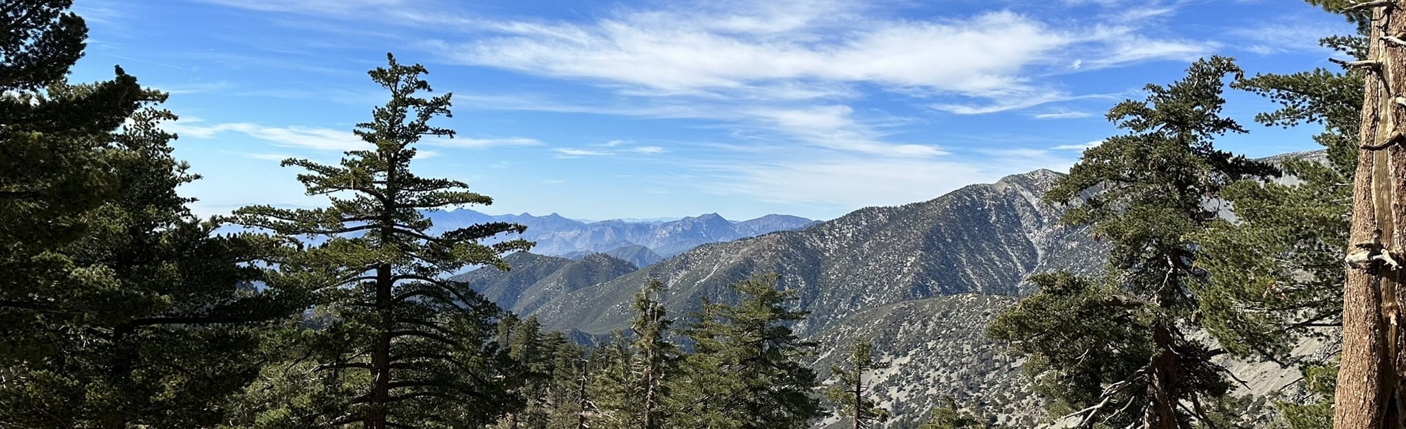 Timber Mountain, California - 1,431 Reviews, Map | AllTrails