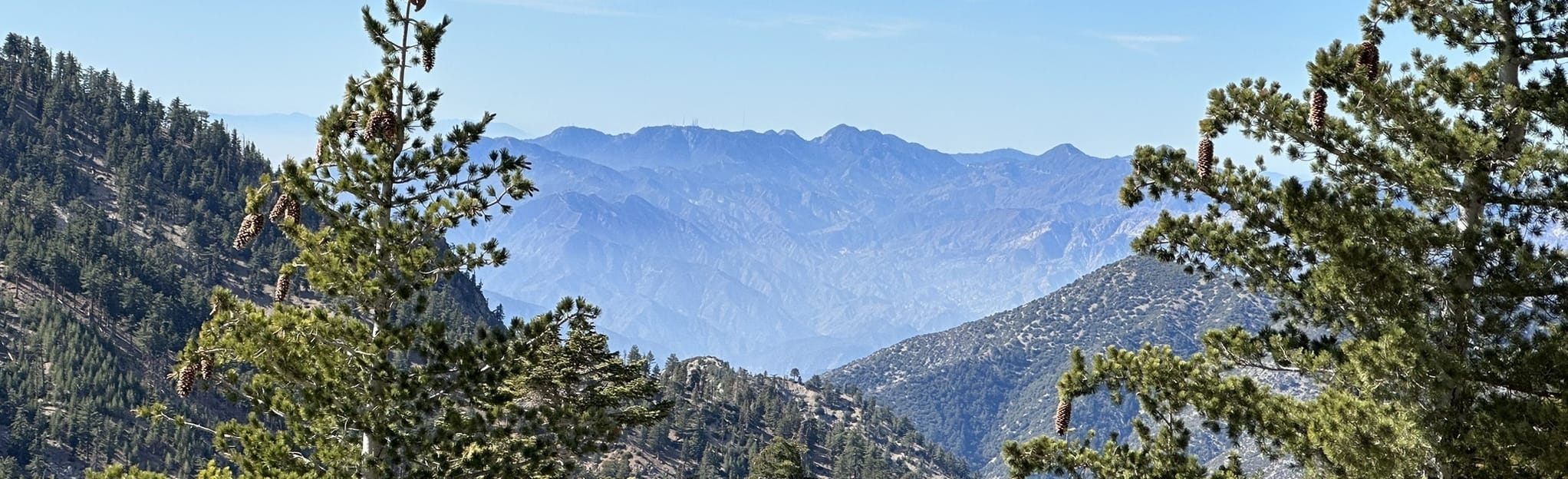 Timber Mountain: 1245 Reviews, Map - California | AllTrails