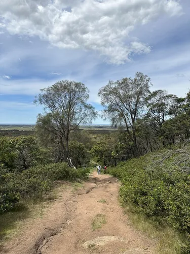 10 Best Walking Trails in You Yangs Regional Park | AllTrails