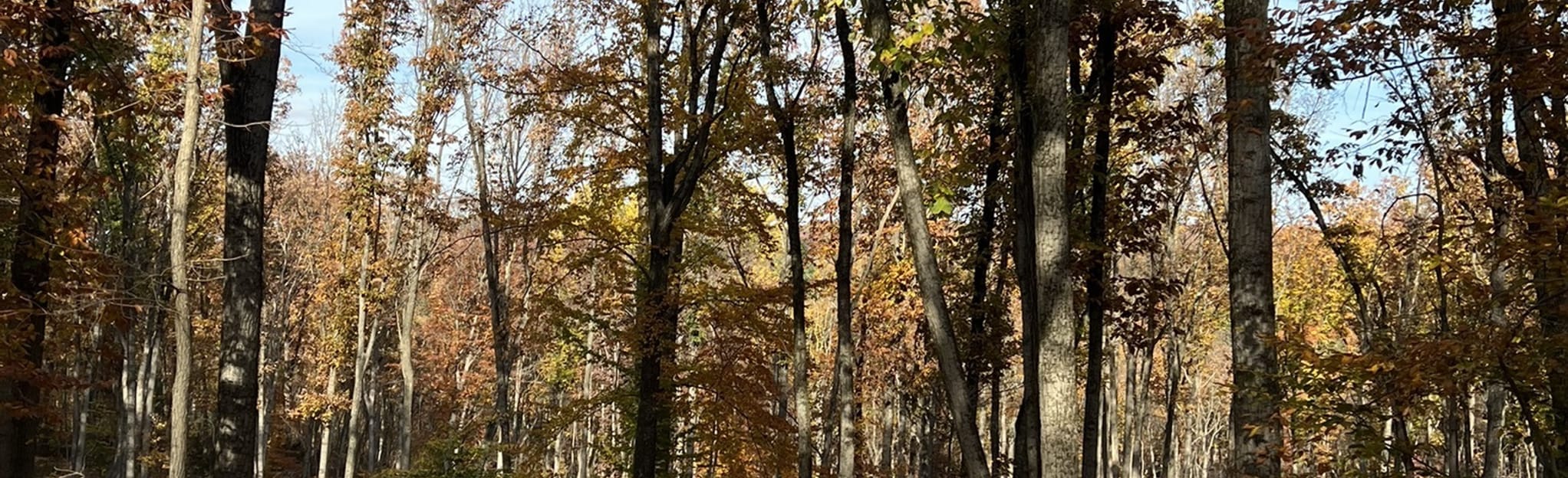 Horseshoe Trail, Explorer Lodge, Spring Trail, and Hammer Creek Road ...