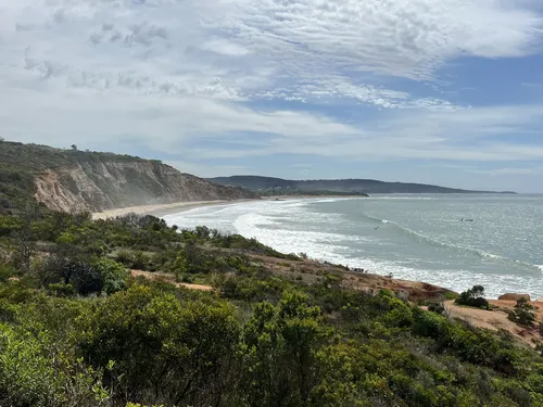 10 Best Trails and Hikes in Anglesea | AllTrails