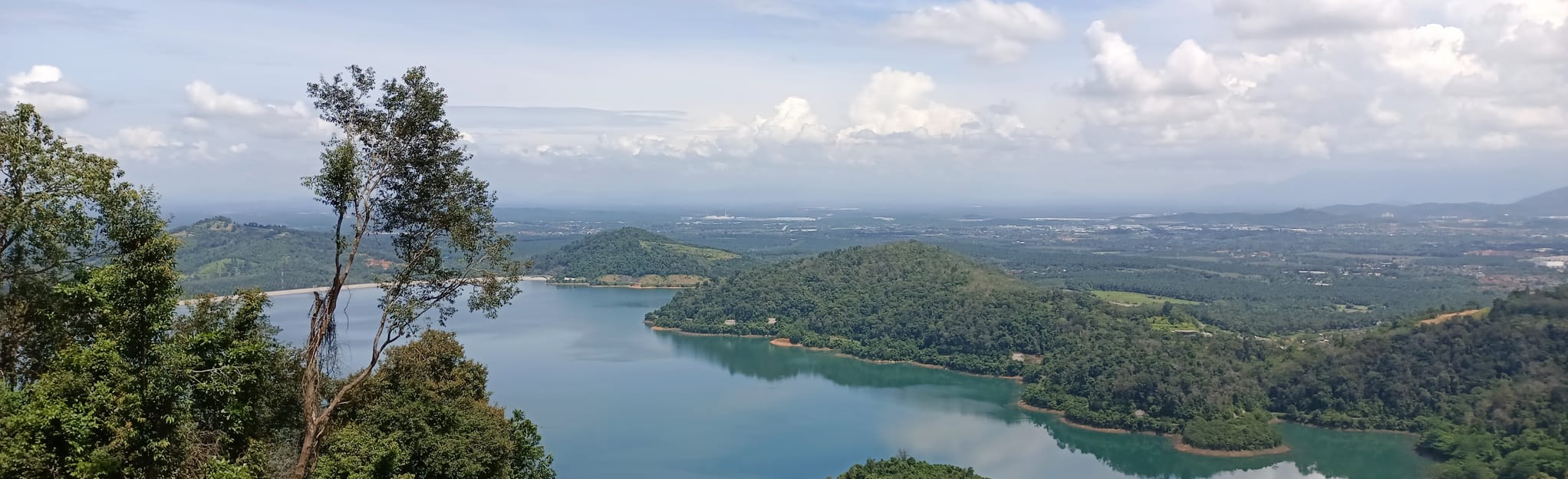 Bukit Tokun - Tokun Big Tree Loop, Penang, Malaysia - 13 Reviews, Map ...