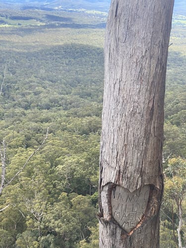 Best Hikes and Trails in Bago Bluff National Park | AllTrails