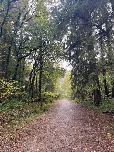 Best Walking Trails in Pontyclun | AllTrails