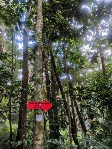 2023 Best 10 Trails, Walks, and Paths in Batu Ferringhi | AllTrails