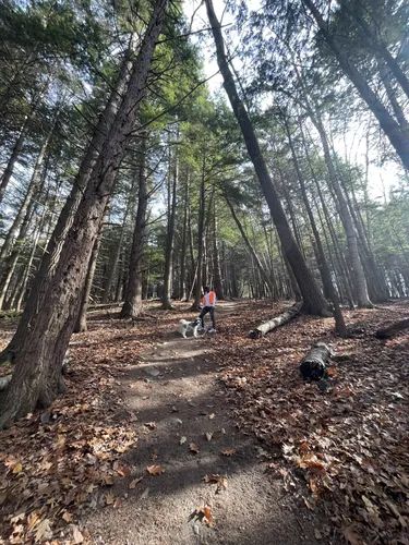 Best Hikes and Trails in Balch Hill Natural Area | AllTrails