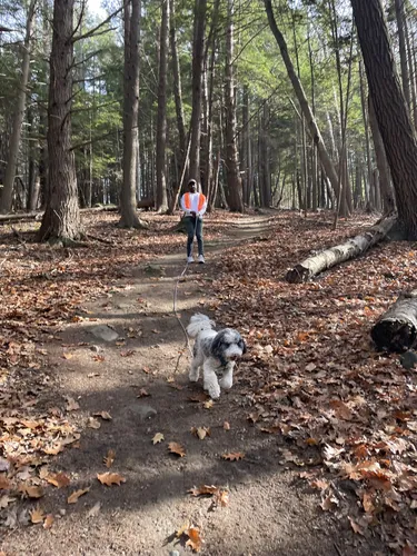 Best Hikes and Trails in Balch Hill Natural Area | AllTrails