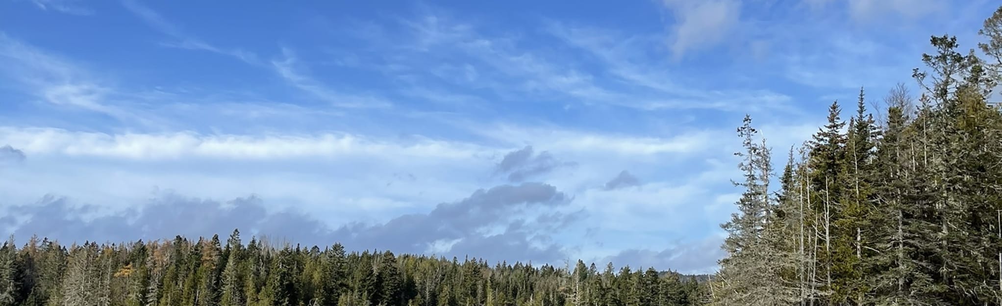 Sam Orr Pond: 90 Reviews, Map - New Brunswick, Canada | AllTrails