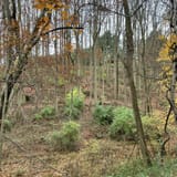 Conestoga Trail: Speedwell Forge Lake, Pennsylvania - 192 Reviews, Map ...