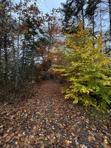 Best Hikes and Trails in Annapolis Valley Region | AllTrails