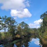 Levee Trail, Florida - 154 Reviews, Map | AllTrails
