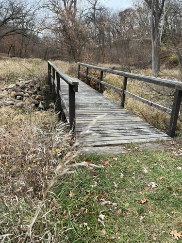 Best Hikes and Trails in Springbrook State Park | AllTrails