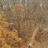 T Bagg Trail, Massachusetts - 280 Reviews, Map | AllTrails