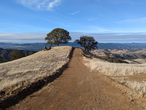 Best Mountain Biking Trails in Mount Diablo State Park | AllTrails
