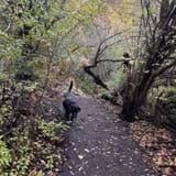 Quail Trail Loop, Utah - 287 Reviews, Map | AllTrails