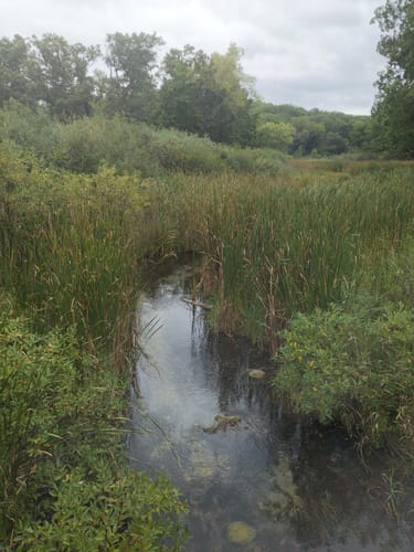 Best 10 Hikes and Trails in Kettle Moraine State Forest Southern Unit ...