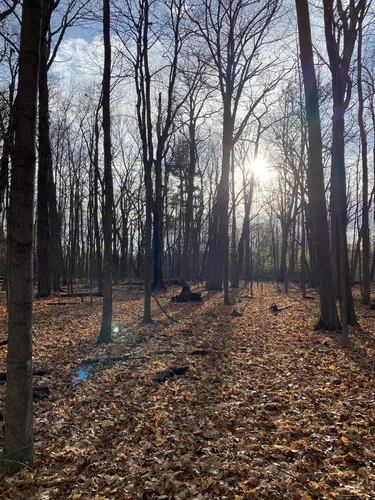 Best Hikes and Trails in High Cliff State Park | AllTrails