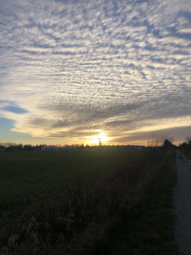 2023 Best trails in Millbank | AllTrails