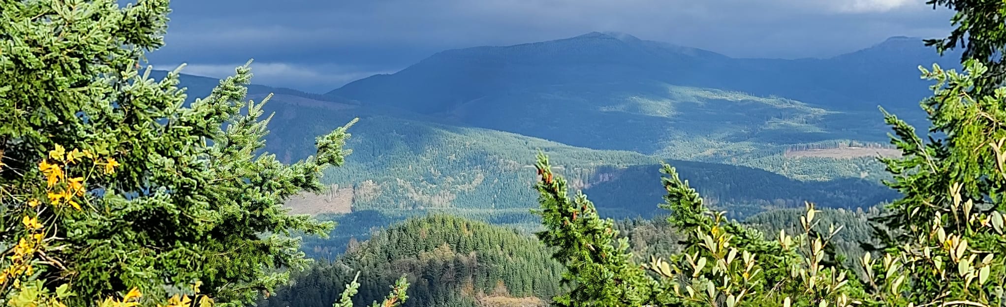 Pinnacle Peak Park via Cal Magnusson Trail - Washington | AllTrails