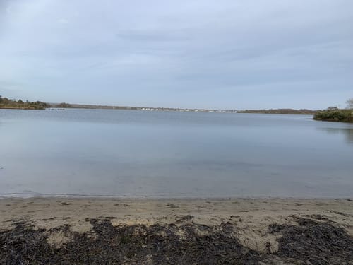 Best Hikes and Trails in Ninigret National Wildlife Refuge | AllTrails