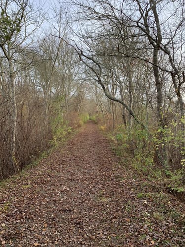 Best Hikes and Trails in Ninigret National Wildlife Refuge | AllTrails