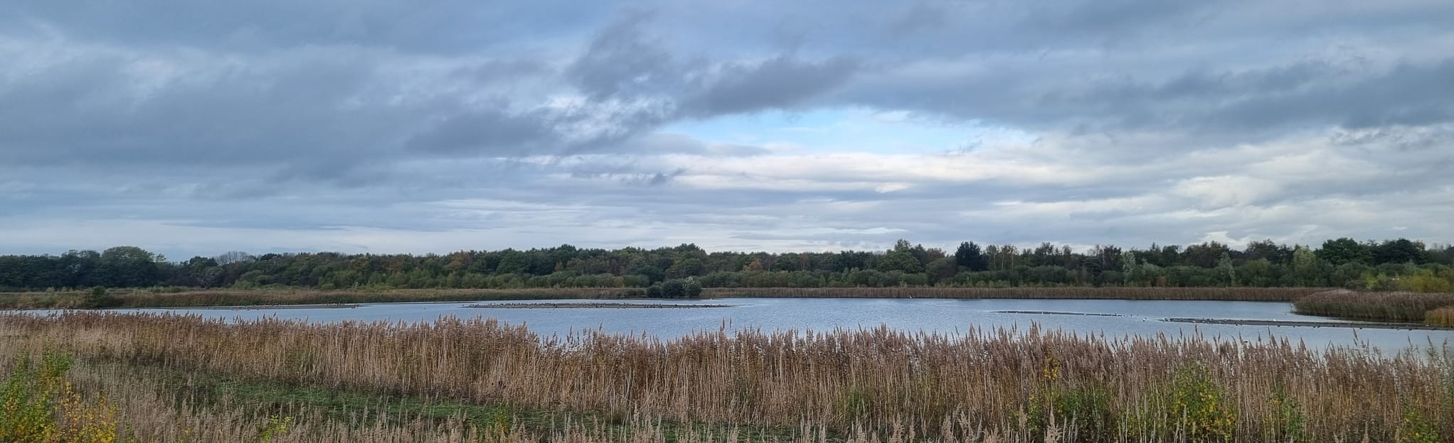 Potteric Carr Circular, South Yorkshire, England - 30 Reviews, Map ...