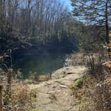 Turkey Run Outer Loop, Indiana - 602 Reviews, Map | AllTrails