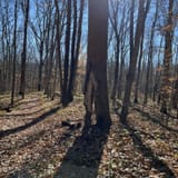 Turkey Run Outer Loop, Indiana - 602 Reviews, Map | AllTrails