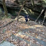 Turkey Run Outer Loop, Indiana - 602 Reviews, Map | AllTrails