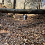 Turkey Run Outer Loop, Indiana - 602 Reviews, Map | AllTrails