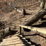 Turkey Run Outer Loop, Indiana - 602 Reviews, Map | AllTrails