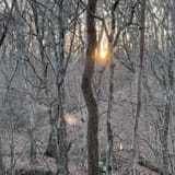 Farmdale Recreation Area Trail, Illinois - 804 Reviews, Map | AllTrails