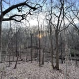 Farmdale Recreation Area Trail, Illinois - 823 Reviews, Map | AllTrails