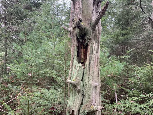 Best Hikes and Trails in Calderwood Preserve | AllTrails