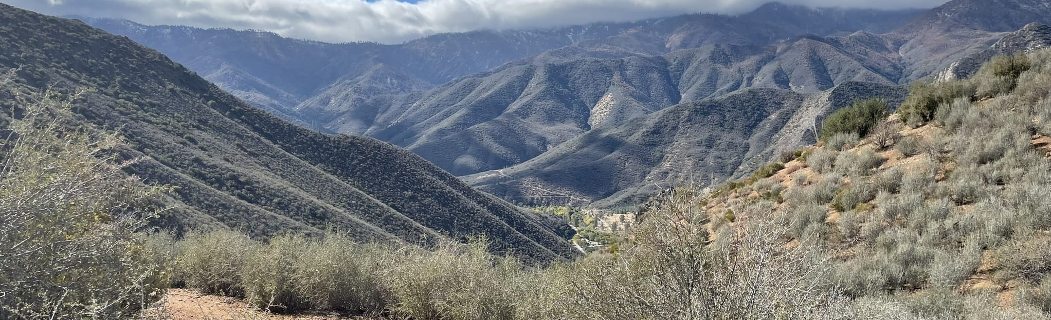 Packsaddle Cave Trail: 462 Reviews, Map - California | AllTrails