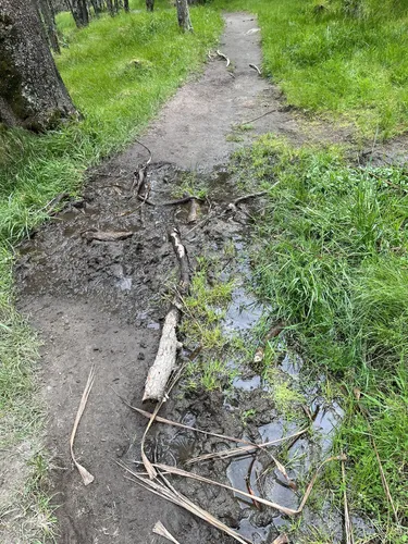 Best Waterfall Trails in Napier | AllTrails