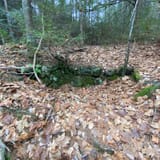 Quabbin Reservoir via Gate 40, Massachusetts - 204 Reviews, Map | AllTrails