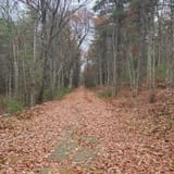 Quabbin Reservoir via Gate 40, Massachusetts - 204 Reviews, Map | AllTrails