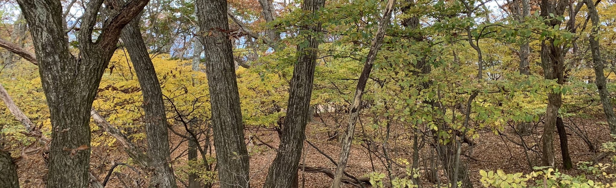 Taishoukaku - Mount Bono-ore - Lake Naguri - Saitama, Japan | AllTrails