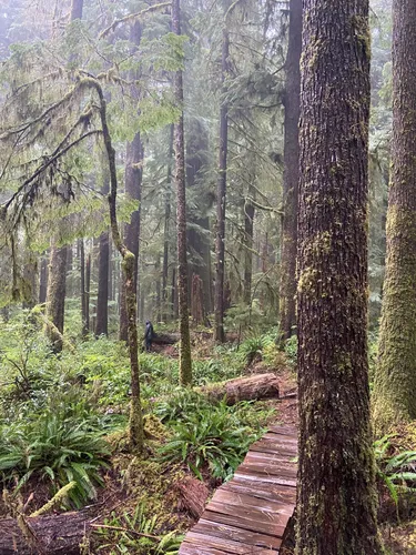 Best Hikes and Trails in Eden Grove | AllTrails