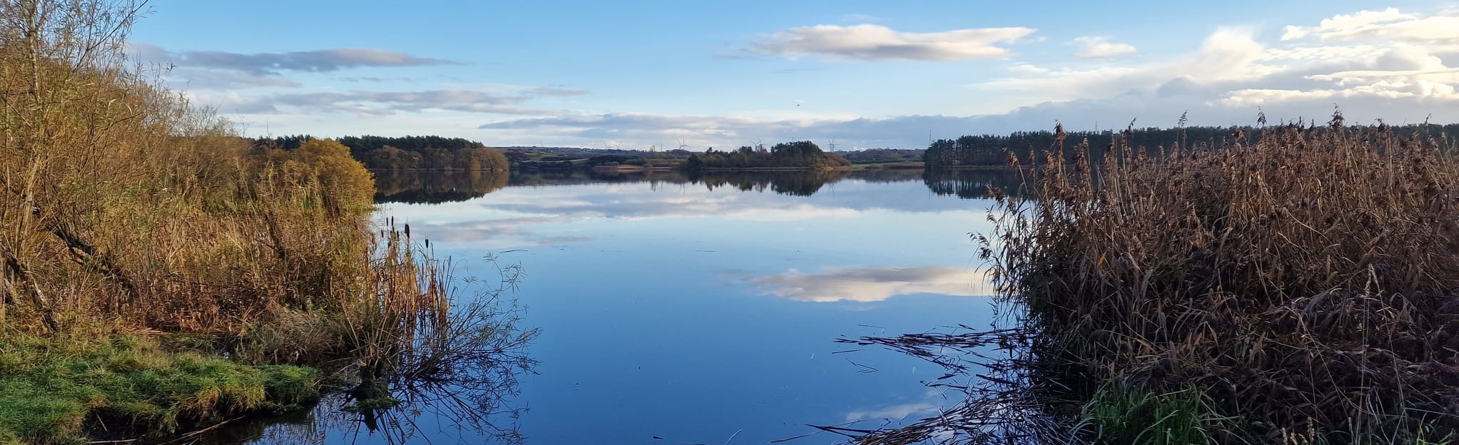 Lochore Meadows Circular, Fife, Scotland - 131 Reviews, Map | AllTrails