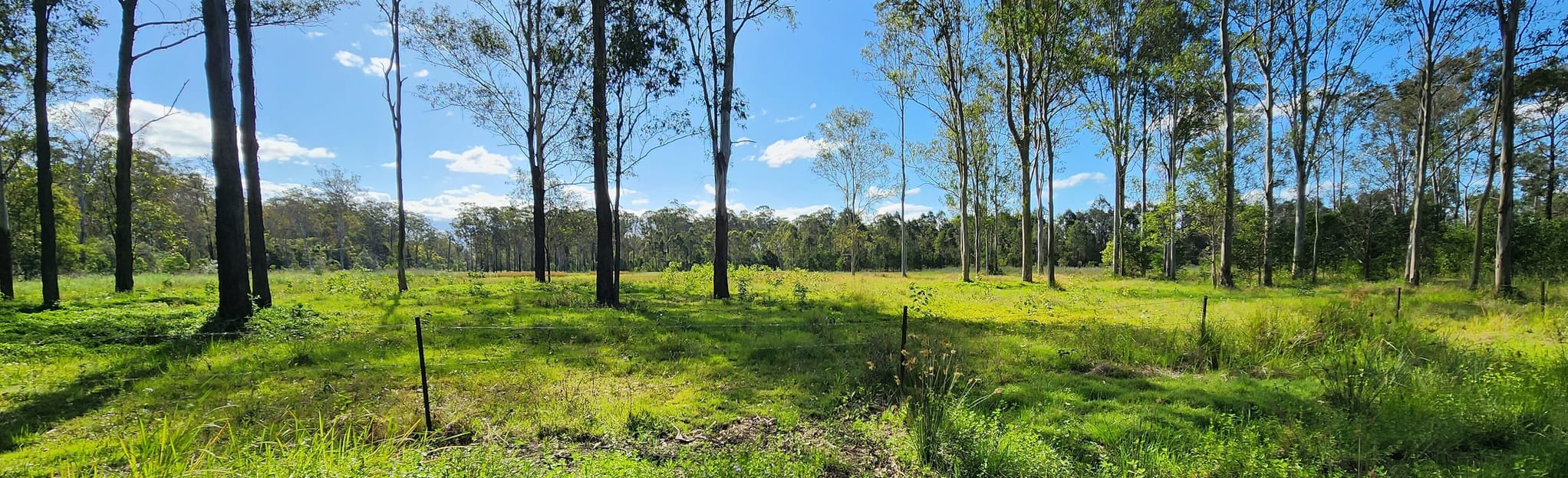 Flesser Reserve Circuit, Queensland, Australia - 3 Reviews, Map | AllTrails