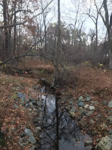 Best Hikes and Trails in Henson Creek Park | AllTrails