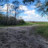 Levee Trail, Florida - 154 Reviews, Map | AllTrails