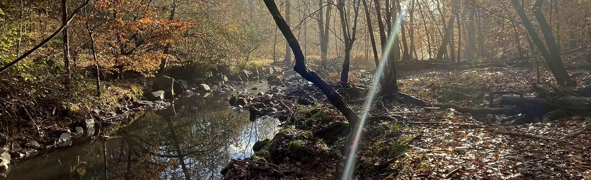 Rivanna Trail: 118 Reviews, Map - Virginia | AllTrails