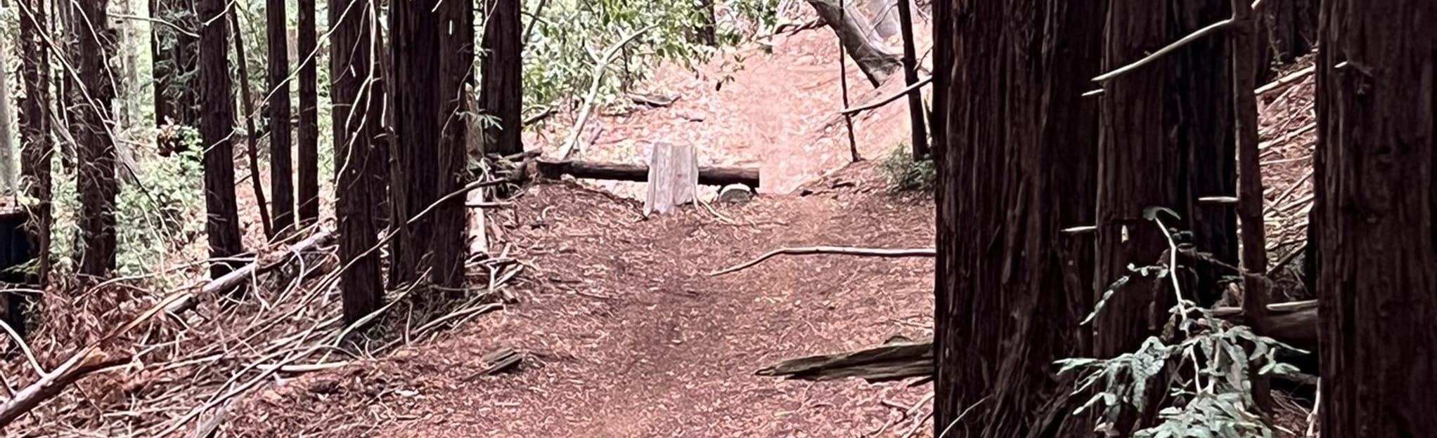 Braille Trail and Tractor Trail Loop: 40 Reviews, Map - California ...