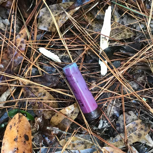 Best Hikes and Trails in Caravelle Ranch Wildlife Management Area ...