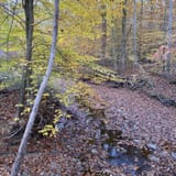 Daniel’s Run Park Loop, Virginia - 388 Reviews, Map | AllTrails