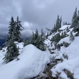 Mount Pilchuck Trail, Washington - 3,126 Reviews, Map | AllTrails